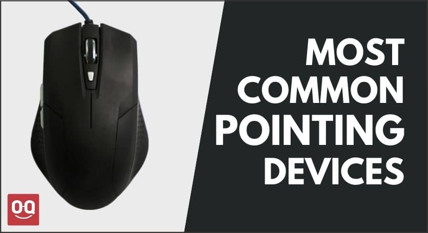 What is the Most Common Pointing Device on Laptops?